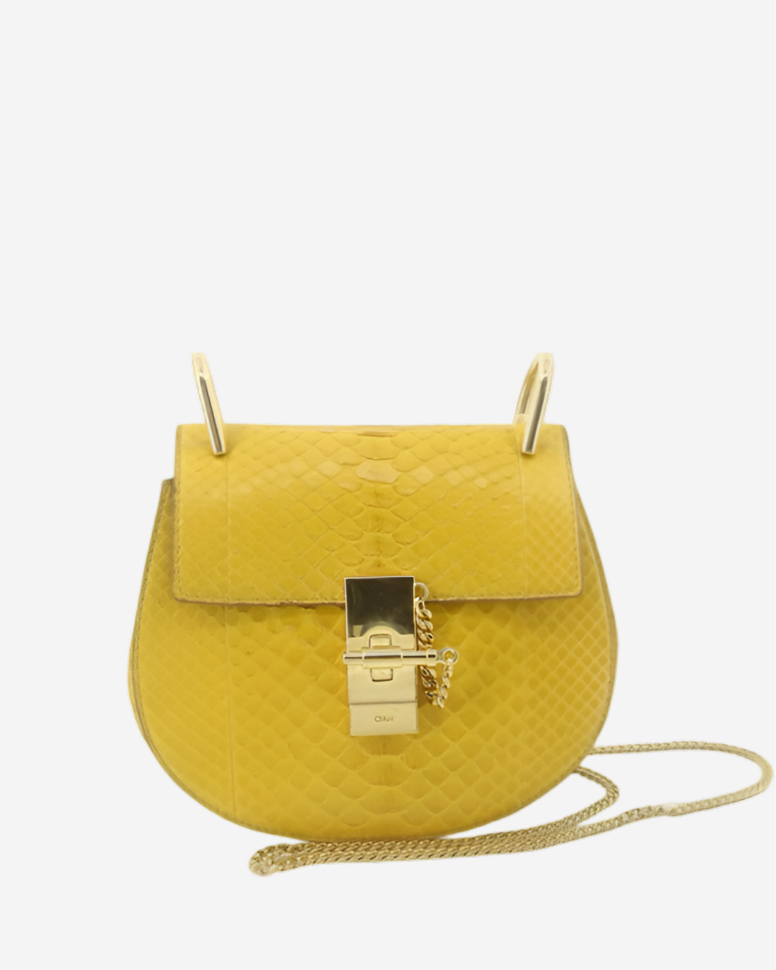 Chloé Drew Python Bag – Irene Buffa