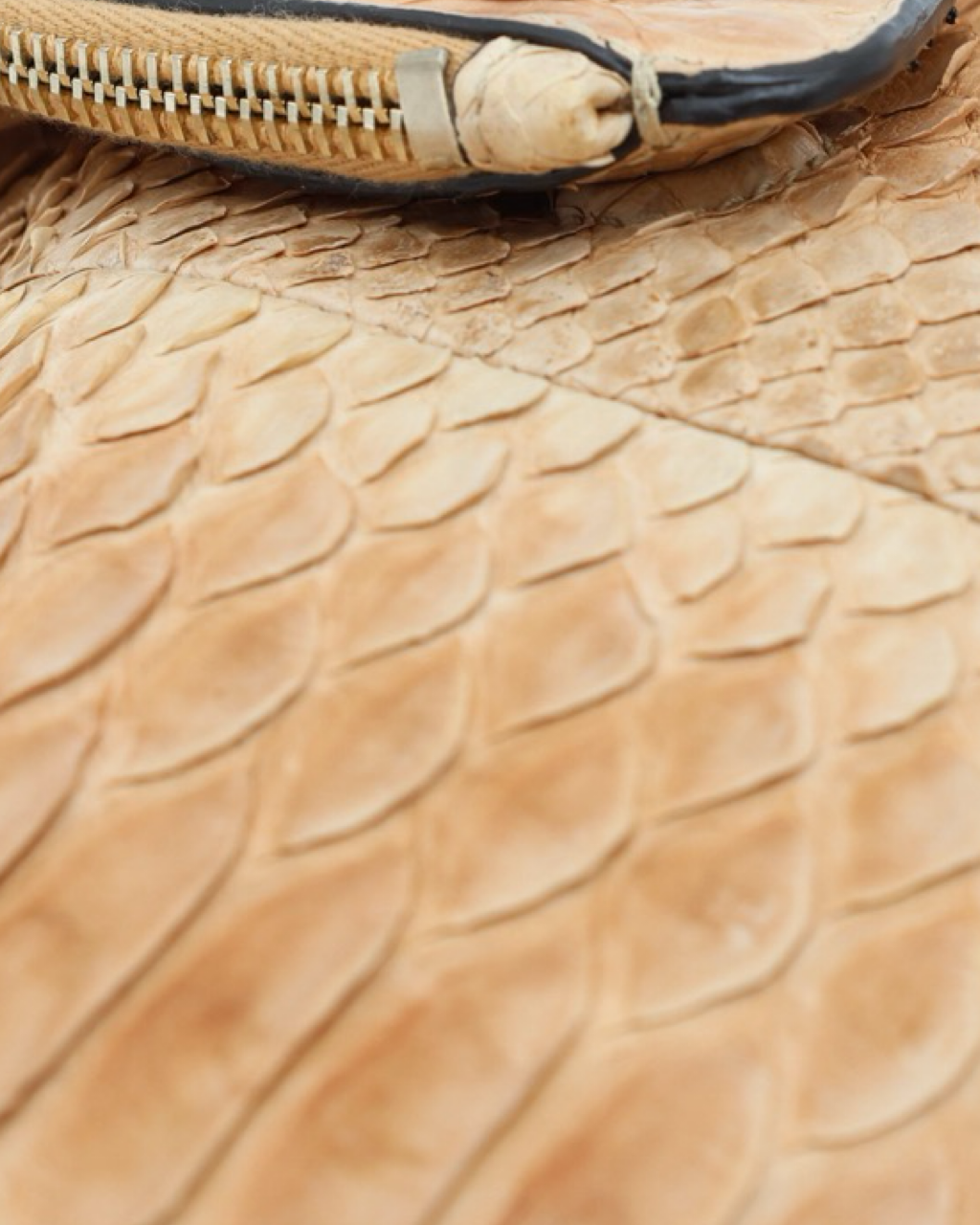 Alezander McQueen Butterfly Clutch – Irene Buffa