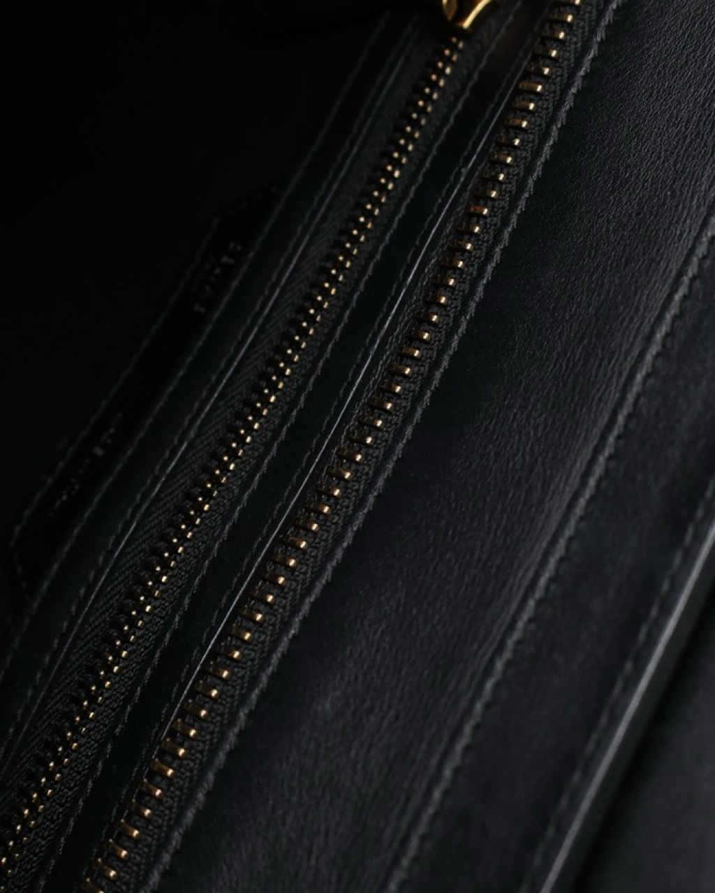 Celine Luggage Python Bag – Irene Buffa